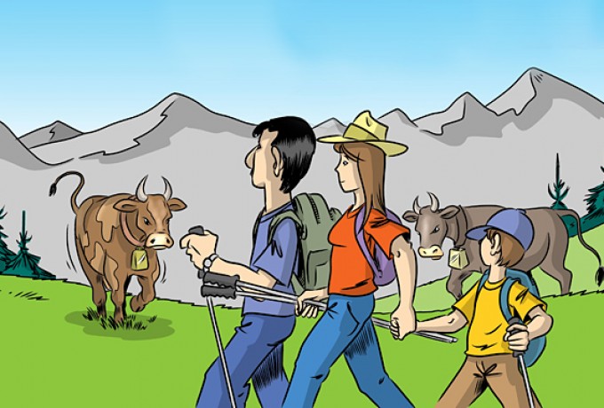 Cartoon! Neun Regeln im Umgang mit Kühen | dolomitenstadt