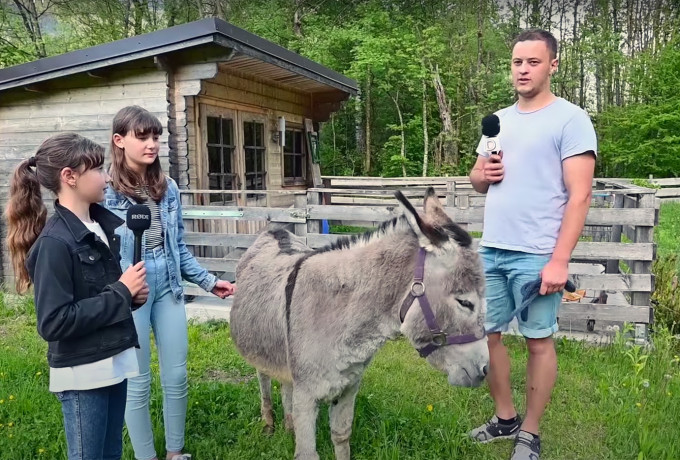 Mit dem Bus zum Eselreiten nach Lavant | dolomitenstadt