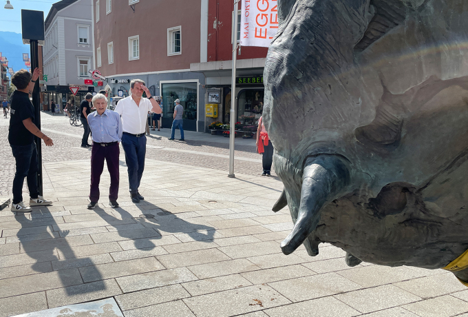 Lienz: Ein Bulle als Fotomotiv auf dem Johannesplatz | dolomitenstadt