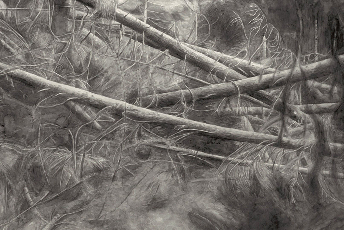 Vernissage: „Alexandra Kontriner – metamorph“ | dolomitenstadt